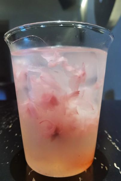 盐渍樱花茶怎么做_盐渍樱花茶的功效与禁忌-第3张图片-山城妙识 盐渍樱花茶怎么做_盐渍樱花茶的功效与禁忌-第3张图片-山城妙识