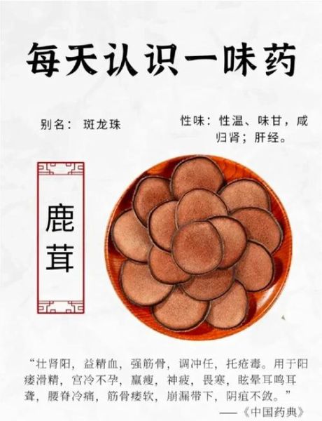 鹿茸的功效与作用禁忌_哪些人不能吃鹿茸-第1张图片-山城妙识 鹿茸的功效与作用禁忌_哪些人不能吃鹿茸-第1张图片-山城妙识