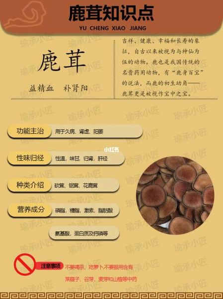 鹿茸的功效与作用禁忌_哪些人不能吃鹿茸-第2张图片-山城妙识 鹿茸的功效与作用禁忌_哪些人不能吃鹿茸-第2张图片-山城妙识