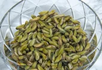 海瓜子图片有几种_如何区分不同品种-第3张图片-山城妙识 海瓜子图片有几种_如何区分不同品种-第3张图片-山城妙识