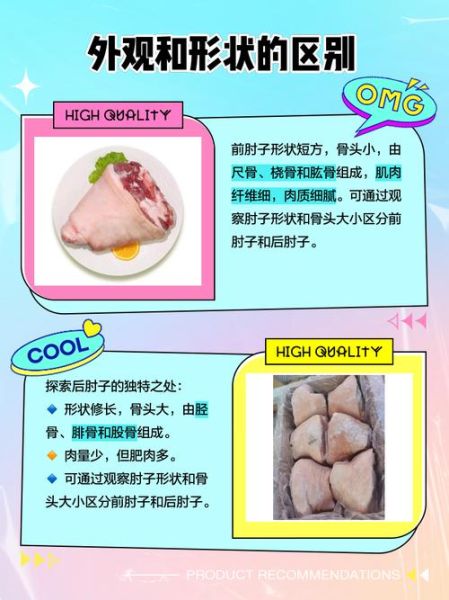 肘子是哪个部位图解_猪肘子前后腿区别-第1张图片-山城妙识 肘子是哪个部位图解_猪肘子前后腿区别-第1张图片-山城妙识