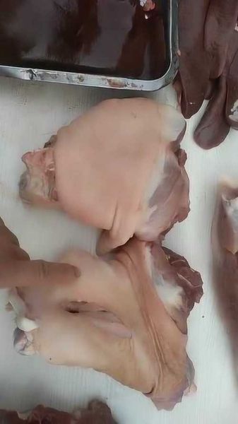 肘子是哪个部位图解_猪肘子前后腿区别-第2张图片-山城妙识 肘子是哪个部位图解_猪肘子前后腿区别-第2张图片-山城妙识