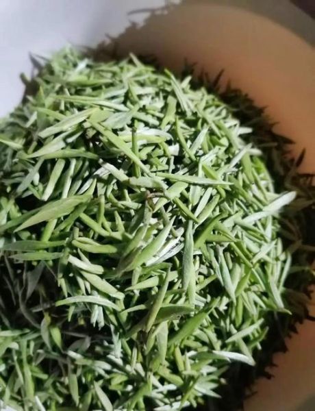 黄山毛峰怎么泡_黄山毛峰多少钱一斤-第1张图片-山城妙识