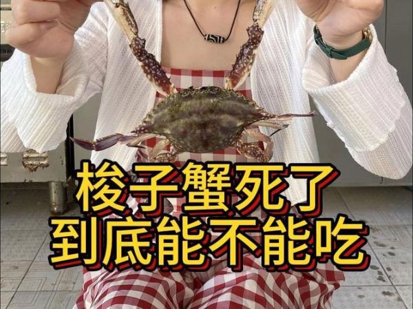梭子蟹死了能吃吗_死了多久不能吃-第2张图片-山城妙识 梭子蟹死了能吃吗_死了多久不能吃-第2张图片-山城妙识
