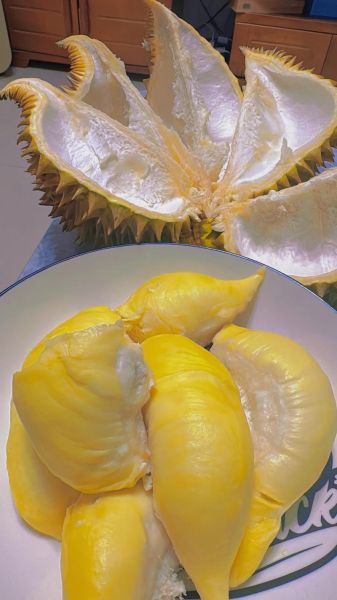 榴莲的视频免费观看下载_哪里能看高清完整版-第3张图片-山城妙识 榴莲的视频免费观看下载_哪里能看高清完整版-第3张图片-山城妙识