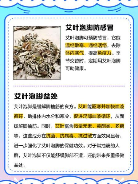 艾叶泡脚有什么好处_多久见效-第2张图片-山城妙识