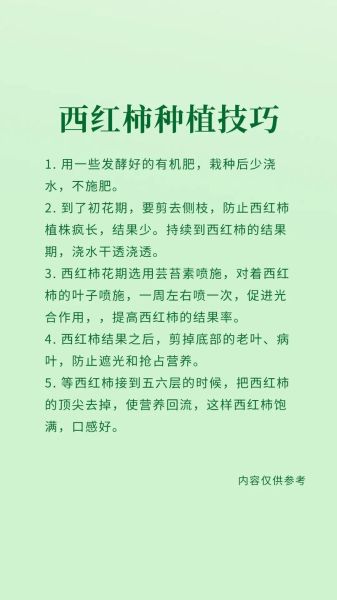 西红柿怎么种_西红柿种植管理技巧-第3张图片-山城妙识