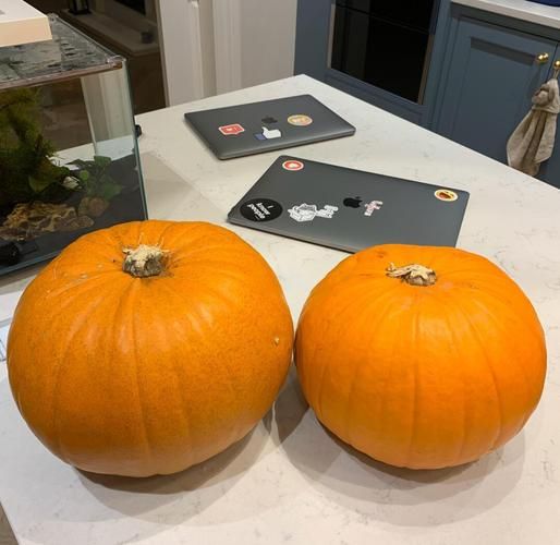 万圣节南瓜灯怎么做_手工制作步骤-第3张图片-山城妙识 万圣节南瓜灯怎么做_手工制作步骤-第3张图片-山城妙识