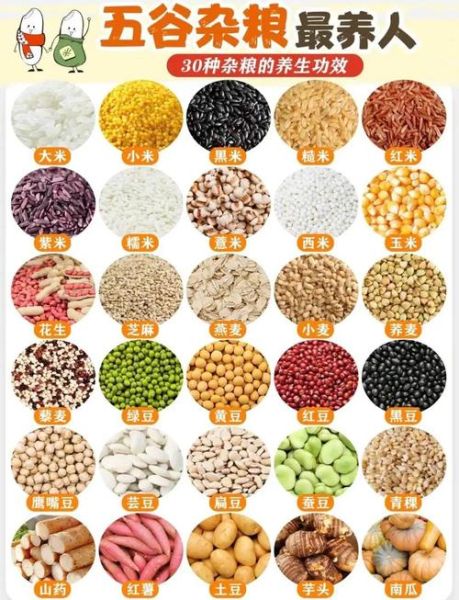 杂粮有哪些_杂粮怎么吃最健康-第3张图片-山城妙识