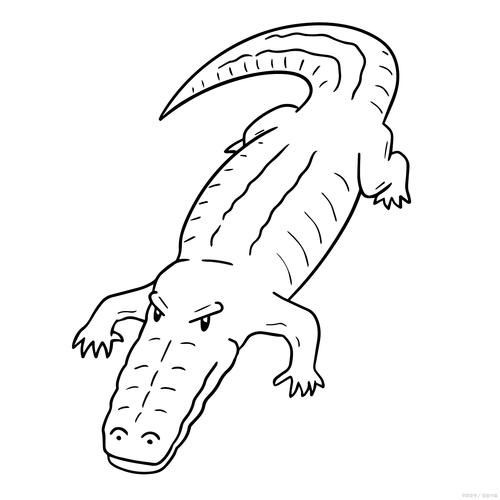 鳄鱼简笔画怎么画_鳄鱼图片简笔画教程-第3张图片-山城妙识