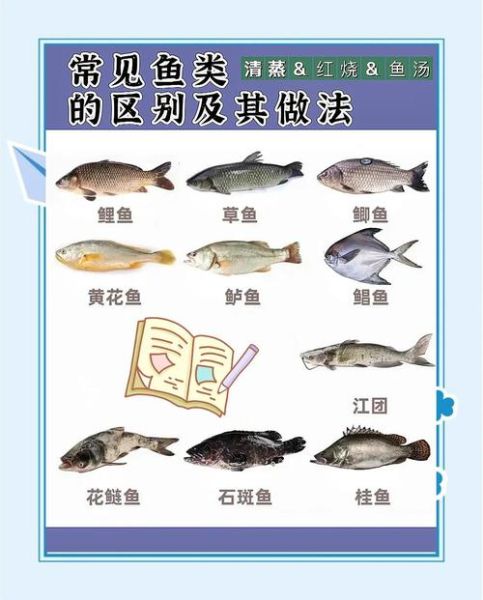 fish可数还是不可数_如何区分fish和fishes-第1张图片-山城妙识 fish可数还是不可数_如何区分fish和fishes-第1张图片-山城妙识