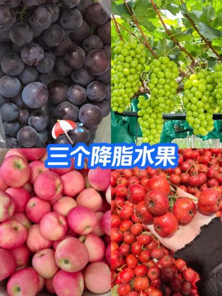 降血脂水果有哪些_怎么吃最有效-第1张图片-山城妙识