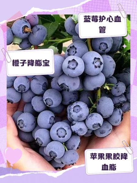 降血脂水果有哪些_怎么吃最有效-第3张图片-山城妙识