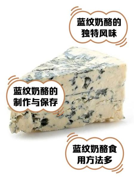 蓝纹奶酪好吃吗_蓝纹奶酪怎么吃-第1张图片-山城妙识