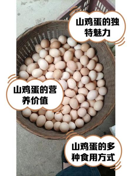 野山鸡蛋和普通鸡蛋区别_野山鸡蛋营养价值高吗-第2张图片-山城妙识