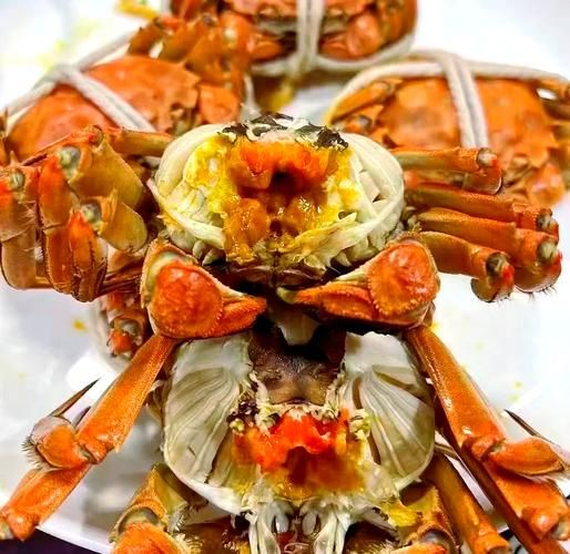 阳澄湖开湖时间2021_大闸蟹上市了吗-第3张图片-山城妙识 阳澄湖开湖时间2021_大闸蟹上市了吗-第3张图片-山城妙识