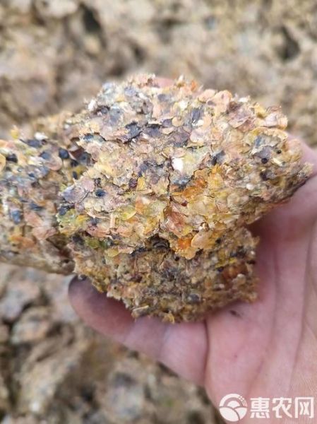 豆饼价格多少钱一吨_豆饼价格最新行情-第3张图片-山城妙识 豆饼价格多少钱一吨_豆饼价格最新行情-第3张图片-山城妙识