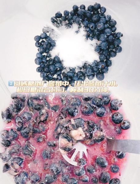蓝莓果酱怎么做_蓝莓果酱能保存多久-第1张图片-山城妙识 蓝莓果酱怎么做_蓝莓果酱能保存多久-第1张图片-山城妙识
