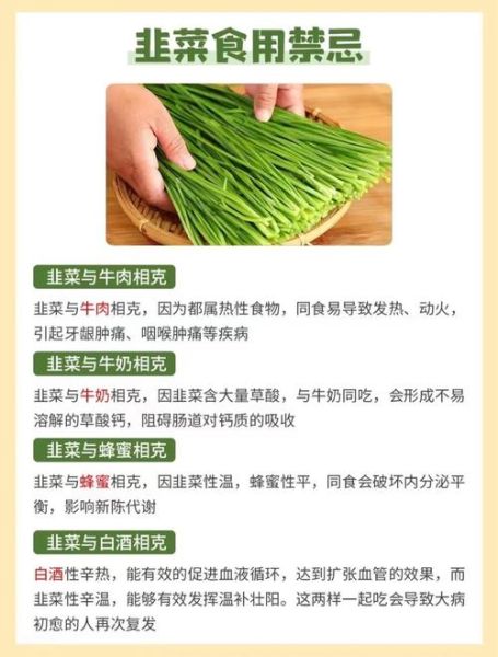 长期吃韭菜有什么好处_韭菜对男性真的有用吗-第2张图片-山城妙识 长期吃韭菜有什么好处_韭菜对男性真的有用吗-第2张图片-山城妙识