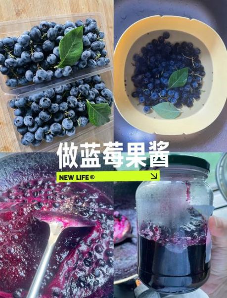 蓝莓果酱怎么做_蓝莓果酱能保存多久-第2张图片-山城妙识 蓝莓果酱怎么做_蓝莓果酱能保存多久-第2张图片-山城妙识