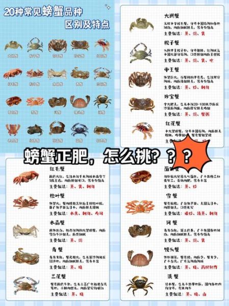 海螃蟹品种有哪些_如何挑选新鲜海蟹-第3张图片-山城妙识 海螃蟹品种有哪些_如何挑选新鲜海蟹-第3张图片-山城妙识
