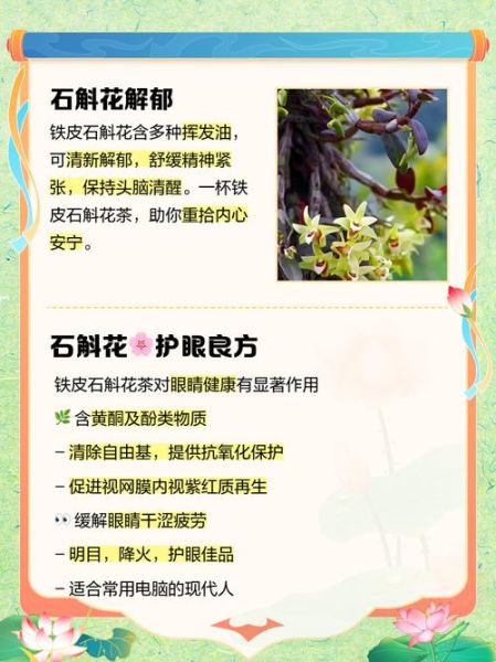 铁皮石斛花有什么功效_铁皮石斛花怎么吃最好-第1张图片-山城妙识