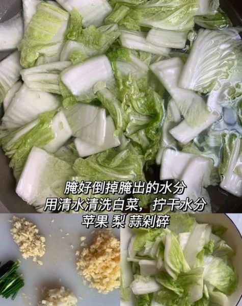 韩国辣白菜怎么保存_正宗做法步骤-第2张图片-山城妙识