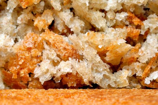 肉松是垃圾食品吗_肉松营养价值高吗-第1张图片-山城妙识 肉松是垃圾食品吗_肉松营养价值高吗-第1张图片-山城妙识