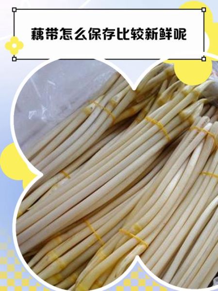 藕带怎么保存_藕带能放冰箱吗-第3张图片-山城妙识 藕带怎么保存_藕带能放冰箱吗-第3张图片-山城妙识
