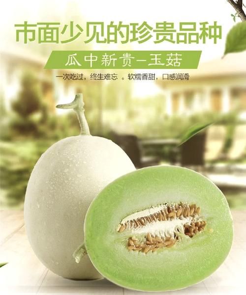 翠玉瓜怎么做好吃_翠玉瓜的营养价值-第1张图片-山城妙识