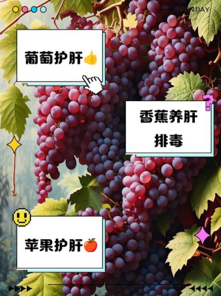 养肝护肝吃什么食物和水果_肝脏不好吃什么调理-第1张图片-山城妙识 养肝护肝吃什么食物和水果_肝脏不好吃什么调理-第1张图片-山城妙识