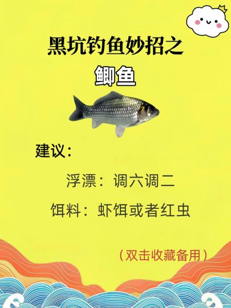 黑鱼怎么钓_用什么钓饵最有效-第2张图片-山城妙识 黑鱼怎么钓_用什么钓饵最有效-第2张图片-山城妙识
