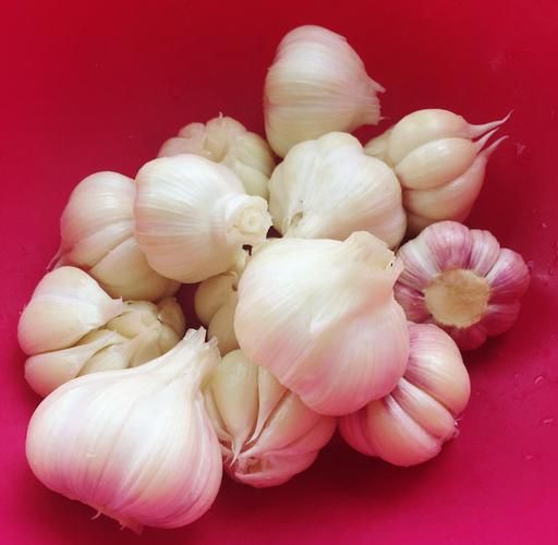 腌蒜头怎么做_腌蒜头需要几天能吃-第1张图片-山城妙识 腌蒜头怎么做_腌蒜头需要几天能吃-第1张图片-山城妙识