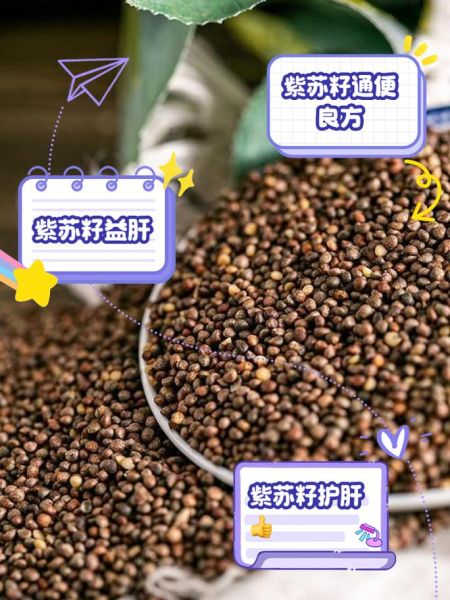 苏子是什么植物_苏子的功效与作用-第2张图片-山城妙识