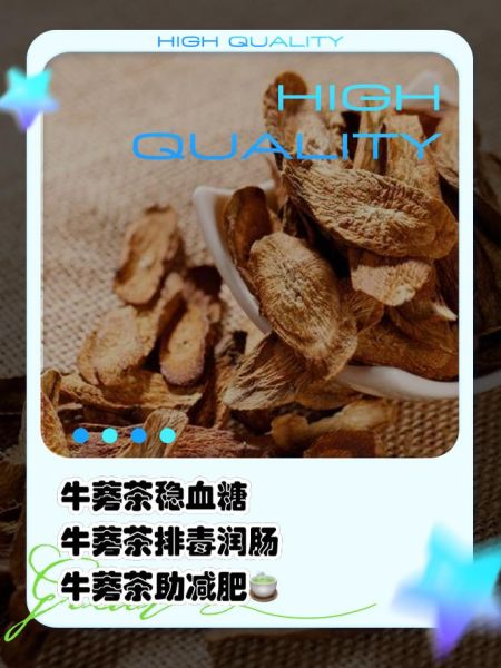 牛蒡根怎么泡水喝_牛蒡茶的功效与禁忌-第1张图片-山城妙识 牛蒡根怎么泡水喝_牛蒡茶的功效与禁忌-第1张图片-山城妙识