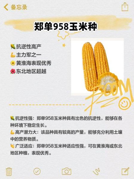 玉米种子什么品种好_玉米高产抗病品种推荐-第1张图片-山城妙识