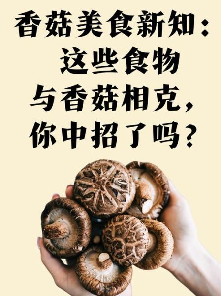 牛奶香菇可以一起吃吗_牛奶和香菇同食会中毒吗-第2张图片-山城妙识 牛奶香菇可以一起吃吗_牛奶和香菇同食会中毒吗-第2张图片-山城妙识