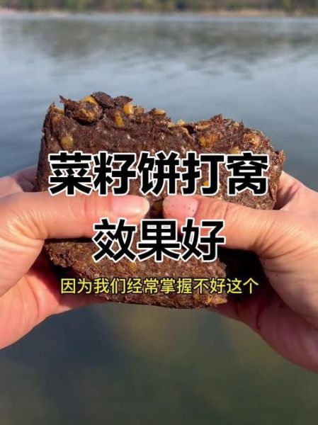 菜籽饼打窝多久发窝_菜籽饼打窝钓鲫鱼技巧-第3张图片-山城妙识 菜籽饼打窝多久发窝_菜籽饼打窝钓鲫鱼技巧-第3张图片-山城妙识