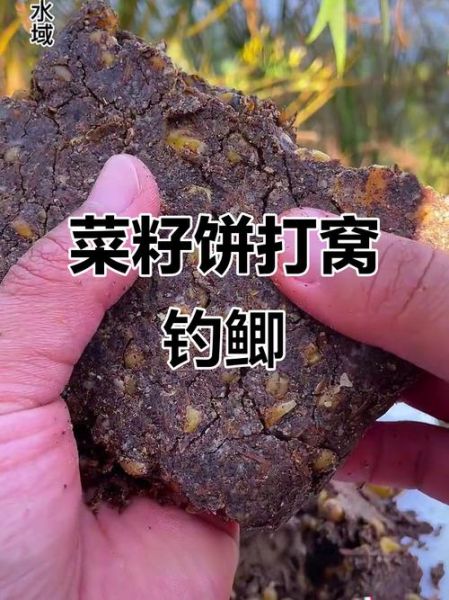 菜籽饼打窝多久发窝_菜籽饼打窝钓鲫鱼技巧-第2张图片-山城妙识 菜籽饼打窝多久发窝_菜籽饼打窝钓鲫鱼技巧-第2张图片-山城妙识