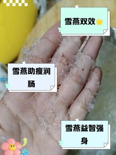 雪燕的禁忌有哪些_雪燕不能和什么一起吃-第3张图片-山城妙识