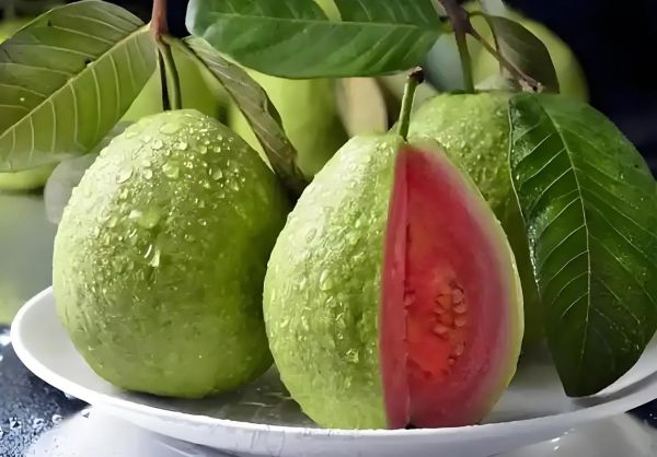 番石榴什么时候吃最好_番石榴最佳食用时间-第3张图片-山城妙识