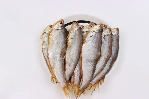 黄鲫子鱼学名叫什么_黄鲫子鱼学名怎么读-第3张图片-山城妙识