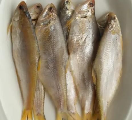 黄鲫子鱼学名叫什么_黄鲫子鱼学名怎么读-第2张图片-山城妙识