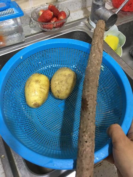 山药土豆排骨汤怎么做_山药土豆排骨汤的功效与禁忌-第2张图片-山城妙识 山药土豆排骨汤怎么做_山药土豆排骨汤的功效与禁忌-第2张图片-山城妙识