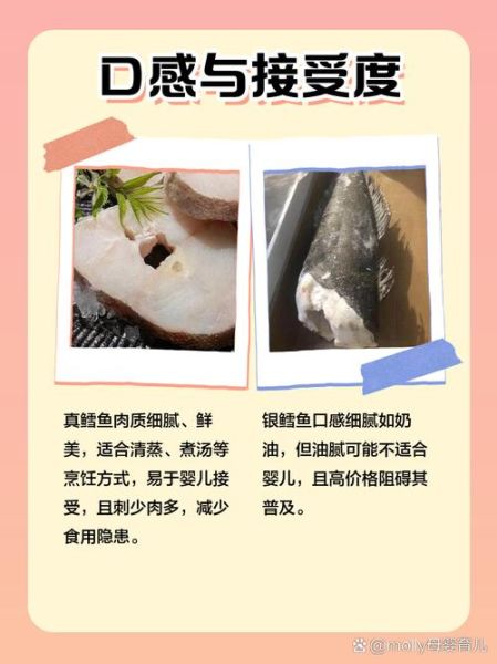 宝宝吃银鳕鱼的危害_银鳕鱼重金属超标吗-第2张图片-山城妙识 宝宝吃银鳕鱼的危害_银鳕鱼重金属超标吗-第2张图片-山城妙识
