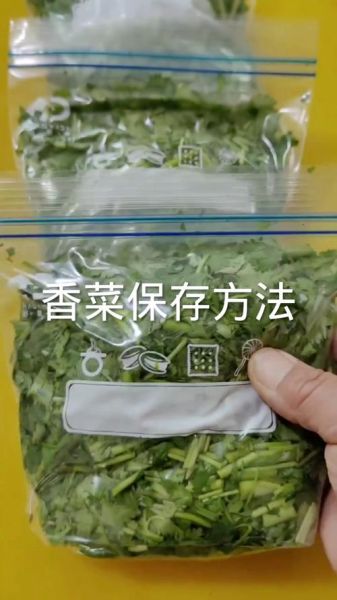 香菜怎么保存新鲜_香菜的吃法大全-第1张图片-山城妙识
