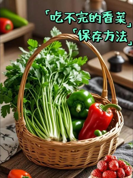 香菜怎么保存新鲜_香菜的吃法大全-第2张图片-山城妙识