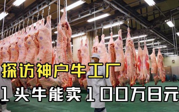 日本神户牛肉多少钱一斤人民币_正宗神户牛价格-第3张图片-山城妙识