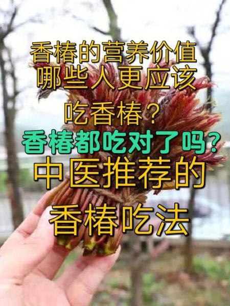 香椿是什么_香椿怎么吃才安全-第3张图片-山城妙识