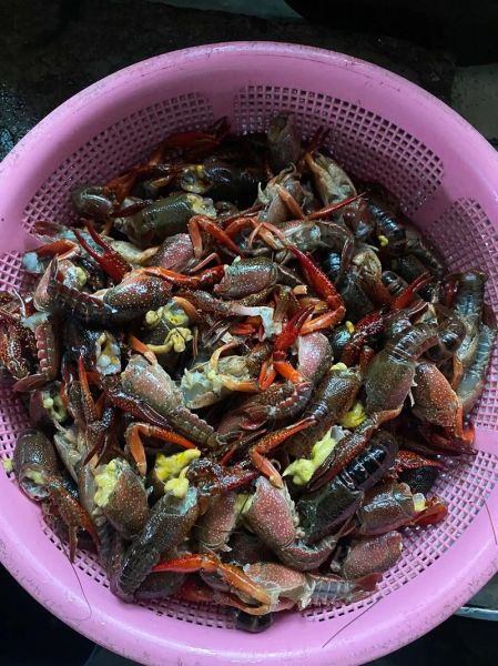 龙虾怎么清洗_龙虾怎么做最好吃-第2张图片-山城妙识 龙虾怎么清洗_龙虾怎么做最好吃-第2张图片-山城妙识